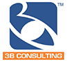3B Consulting - Bring Solution Through People